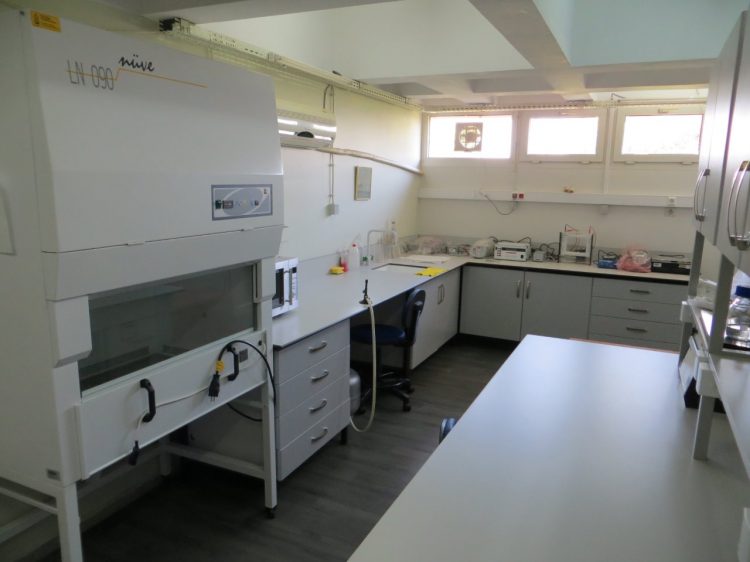 Microbiolgoy Laboratory | DEU-İMST